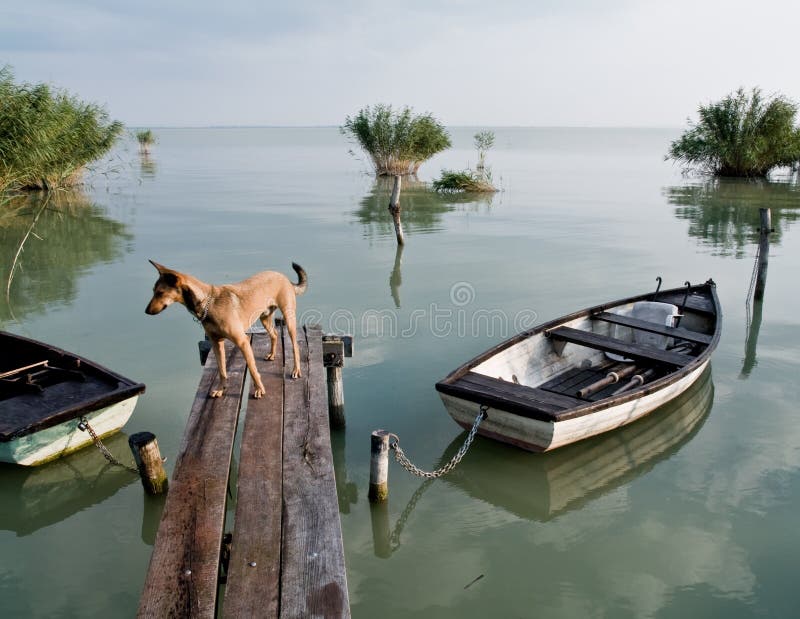 Lago Balaton (Szigliget) imagem de stock. Imagem de sunset - 3069029