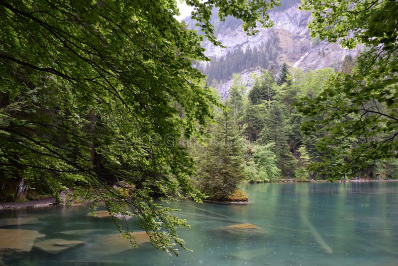 Lago Blausee, Suiza fotografía editorial. Imagen de verde - 117972452