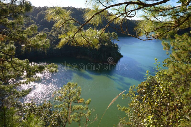 Lago Bosque Azul En Chiapas, México Foto de archivo - Imagen de alza ...