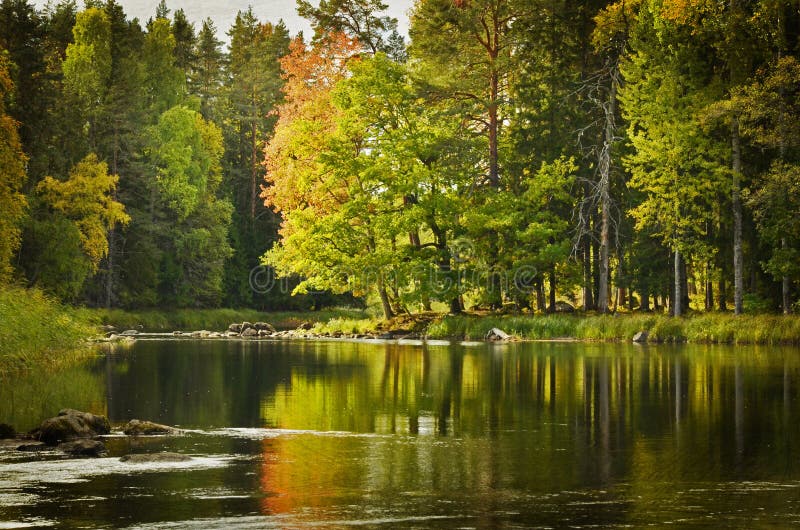 Lago Calmo. Imagens Conceptuais Da Textura Foto de Stock - Imagem de ...