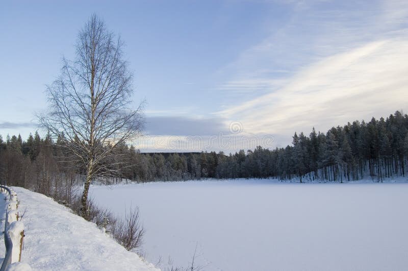 Lago congelado imagem de stock. Imagem de norte, europa - 7328107