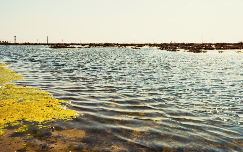 Lago contaminado foto de archivo. Imagen de industrial - 100337872