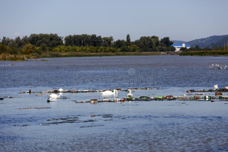 Lago contaminado foto de archivo. Imagen de envase, basura - 60191996