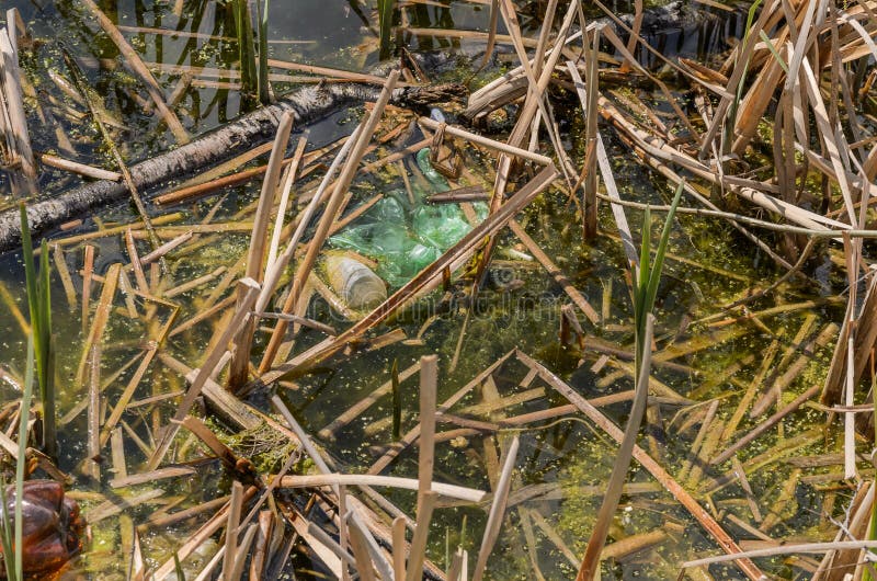Lago Contaminado Con Basura Y Botellas Imagen de archivo - Imagen de ...