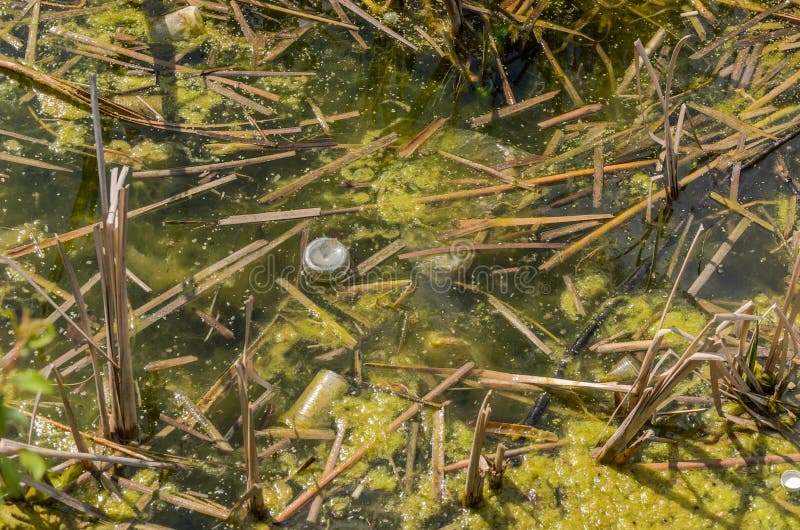 Lago Contaminado Con Basura Y Botellas Imagen de archivo - Imagen de ...