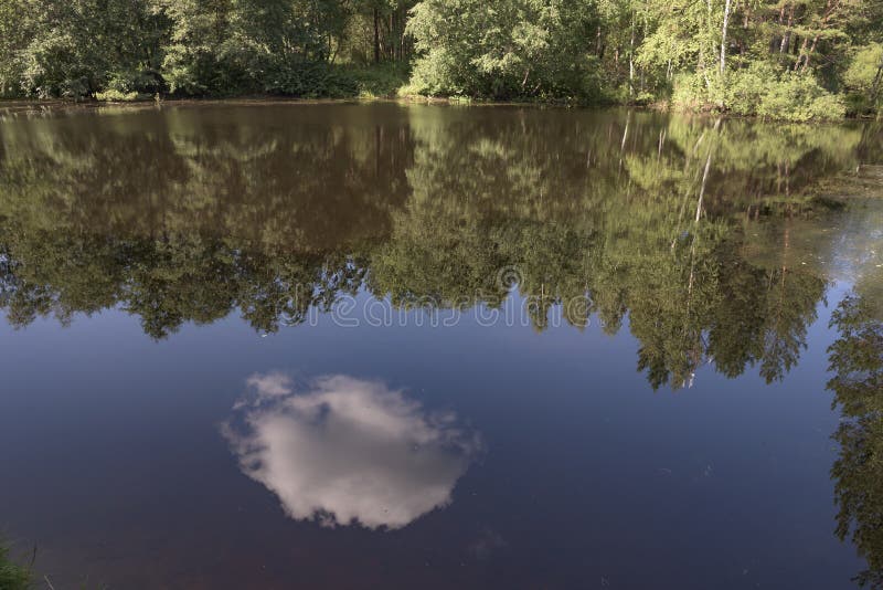 Lago de bosque limpio foto de archivo. Imagen de orilla - 156718918