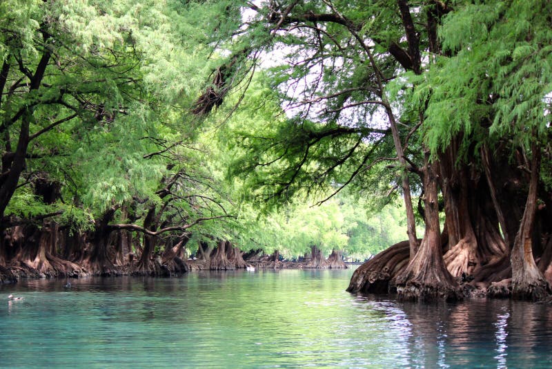 Lago de Camecuaro foto de archivo. Imagen de cubo, fresco - 116355134