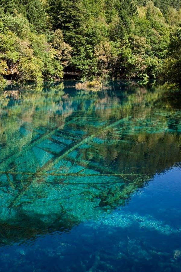 Lago de cinco flores foto de archivo. Imagen de colorido - 11191756