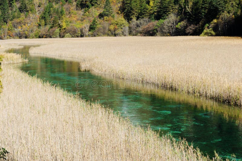 Lago De Lámina En Jiuzhaigou Imagen de archivo - Imagen de viaje ...