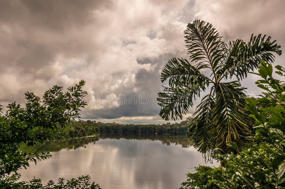 Lago De La Selva Del Amazonas Imagen de archivo - Imagen de nube ...