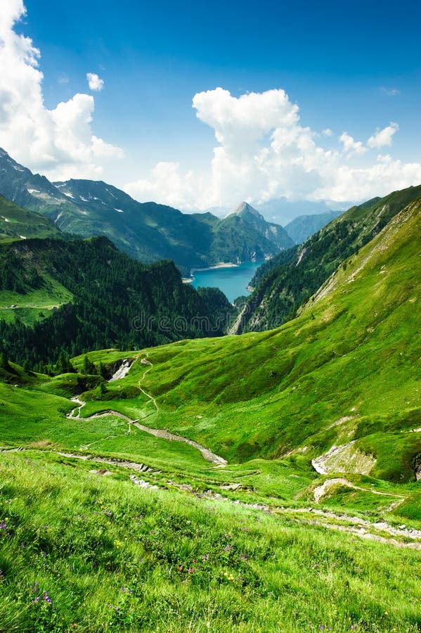 Lago di Luzzone stock image. Image of forest, alps, upper - 24821355