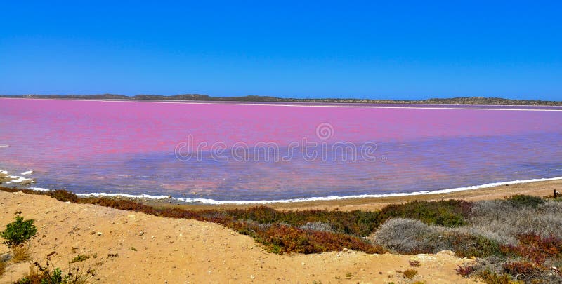 Lago Di Sale Rosa in Australia Occidentale Immagine Stock - Immagine di ...