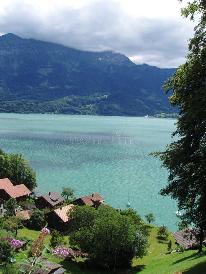 Lago di Thun Svizzera immagine stock. Immagine di berna - 10623003