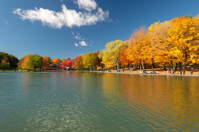 Lago E Folha Beaver Em Cores Do Outono Foto Editorial - Imagem de ...