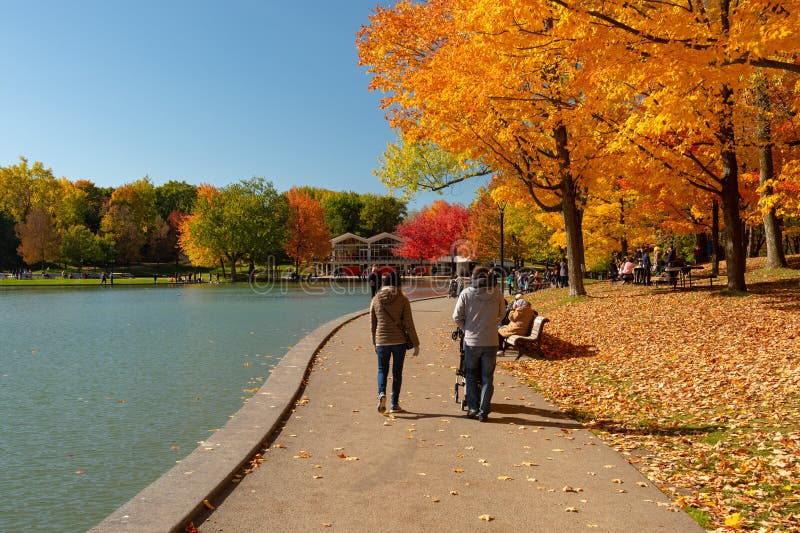 Lago E Folha Beaver Em Cores Do Outono Foto Editorial - Imagem de povos ...