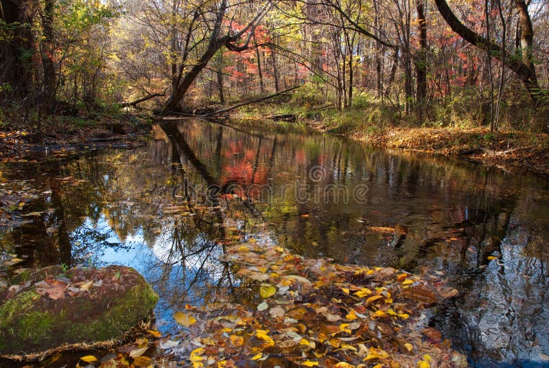 Lago en bosque foto de archivo. Imagen de verano, lago - 35043912