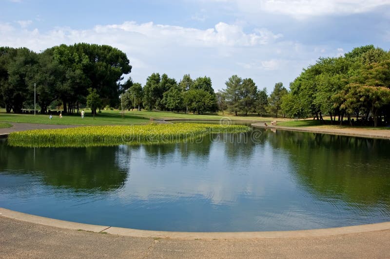 Lago en el parque foto de archivo. Imagen de america, orilla - 4575026