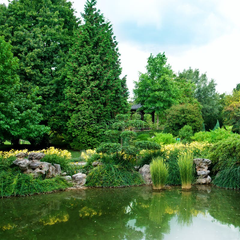 Lago En El Parque Del Verano Foto de archivo - Imagen de ilustrado ...