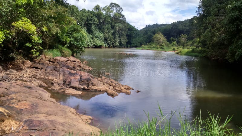 Lago en la selva imagen de archivo. Imagen de orilla - 188771053