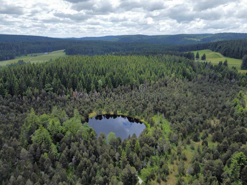 Lago En Medio Del Bosque Negro Imagen de archivo - Imagen de canal ...