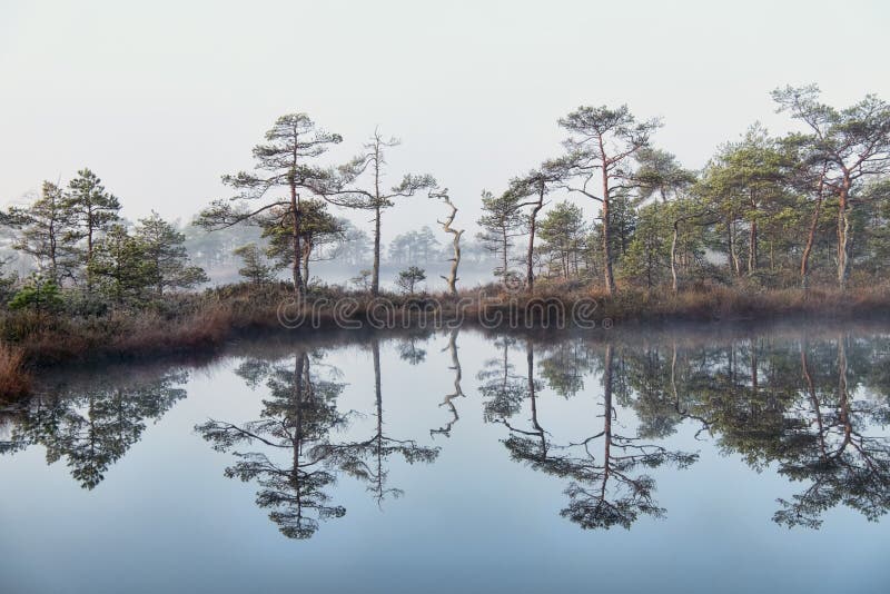 Lago en pantano foto de archivo. Imagen de lago, exterior - 136817756