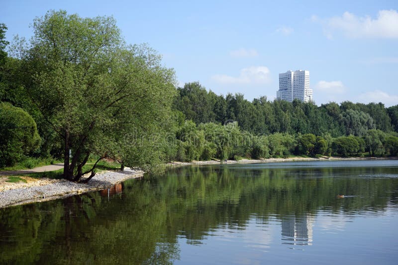 Lago en parque foto de archivo. Imagen de bosque, verano - 123187808