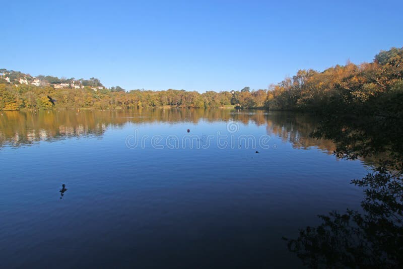 Lago En Stover Country Park Devon Foto de archivo - Imagen de lago ...