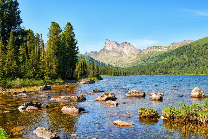 Paisaje De Taiga En El Pequeño Lago Imagen de archivo - Imagen de azul ...