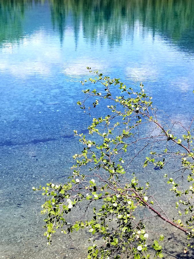 Lago Faeder imagen de archivo. Imagen de confianza, caminar - 134418475