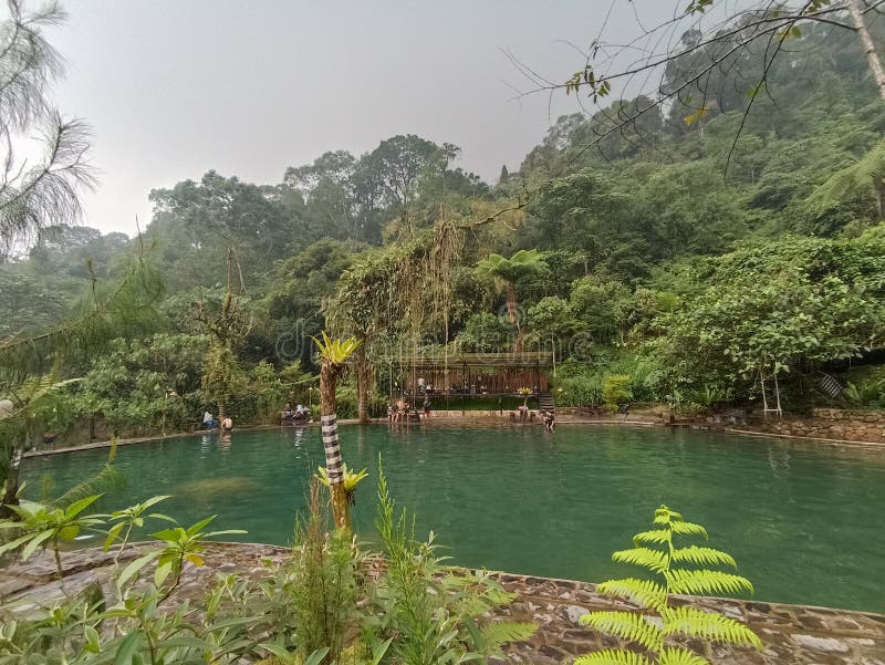 Lago Fluvial Lago Selva Natureza Foto de Stock - Imagem de pantanal ...