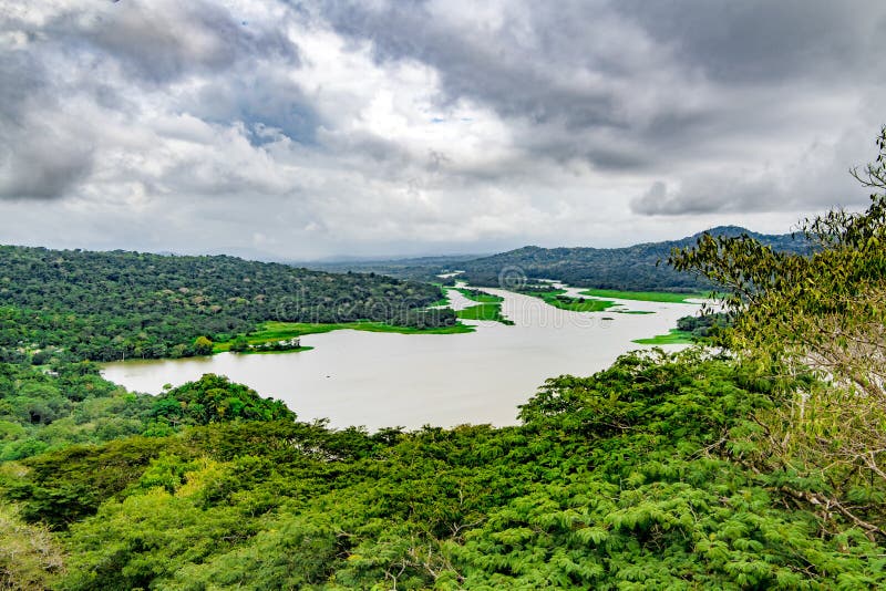 Lago Gatun, Vegetazione Fertile Su Litorale, Panama Fotografia Stock ...
