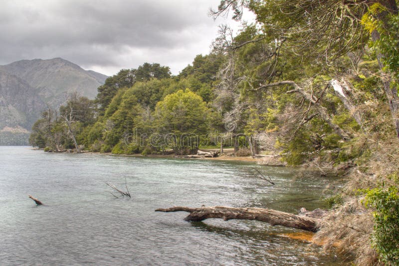 Lago Gutierrez Vicino a Bariloche, Argentina Immagine Stock - Immagine ...