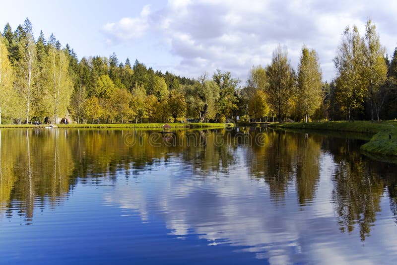 Lago hermoso del bosque foto de archivo. Imagen de ambiente - 16307950