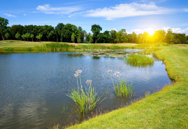Paisaje Soleado De La Naturaleza Hermosa Foto de archivo - Imagen de ...