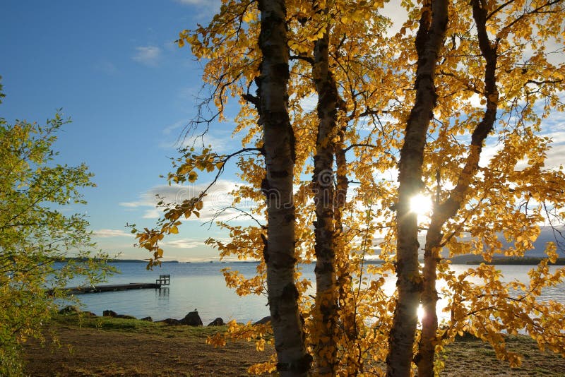 Lago Inari, Lapponia immagine stock. Immagine di albero - 59838315