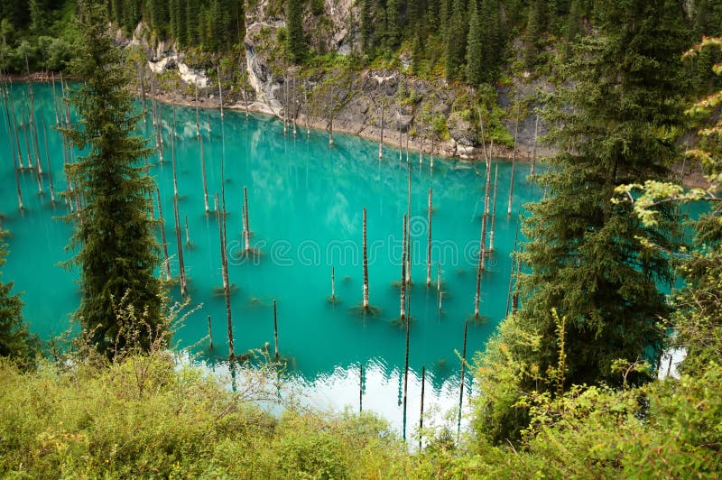Lago Kaindy En El Kazajistán Imagen de archivo - Imagen de color, yermo ...