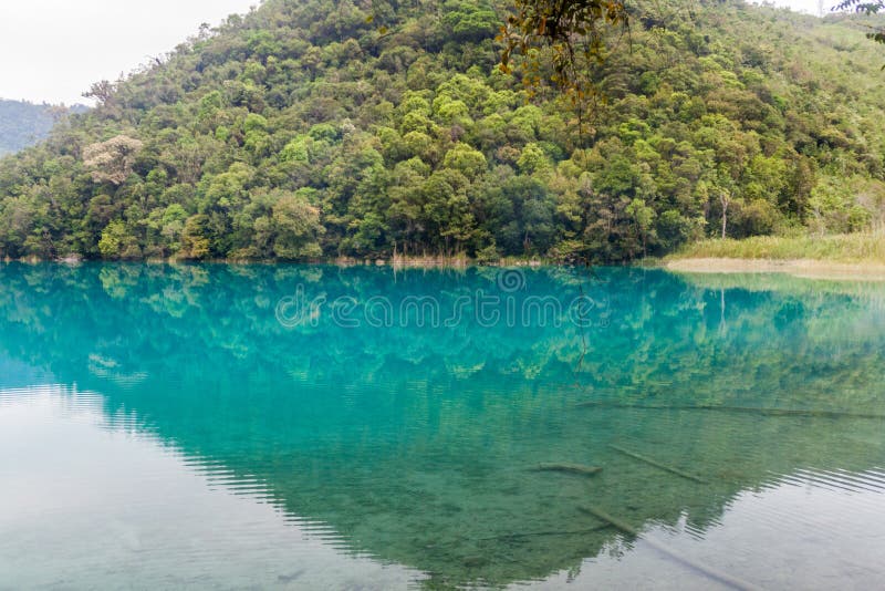 Lago De La Selva Y Laguna Yaxha, Guatema Foto de archivo - Imagen de ...