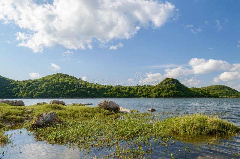 Lago limpio 4 summer imagen de archivo. Imagen de azul - 71576739