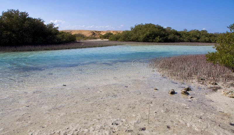 Lago mágico en Egipto foto de archivo. Imagen de animal - 36643766
