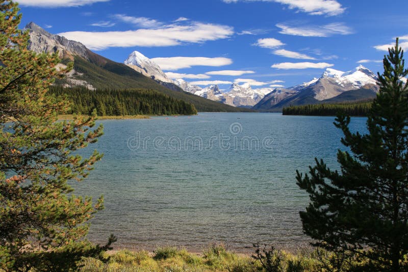 Lago Maligne fotografia stock. Immagine di vista, prato - 27573750