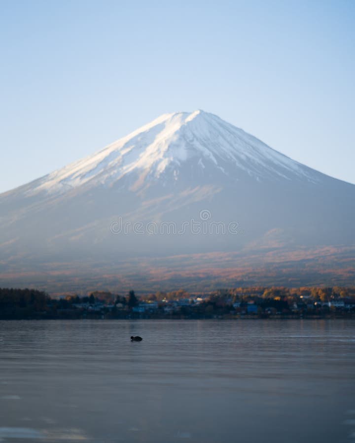 Lago Mount Fuji Kawaguchiko Imagen de archivo - Imagen de lago, fondo ...