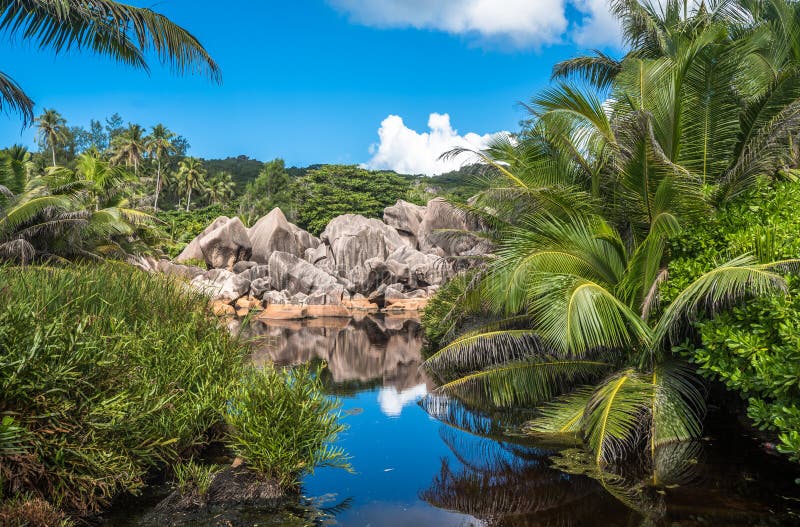 Lago Na Selva, Ilha De Digue Do La, Seychelles Imagem de Stock - Imagem ...