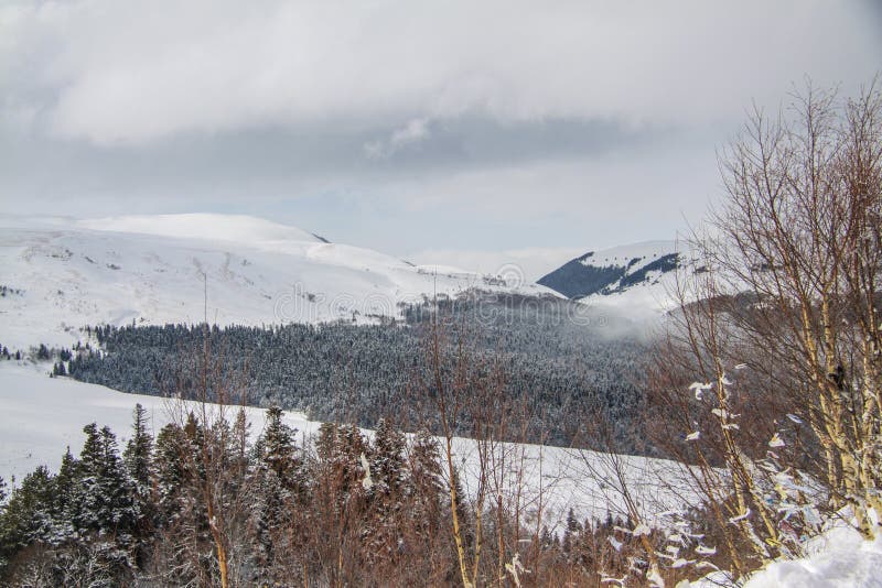 Lago-Naki, Het Plateau West- Van De Kaukasus Stock Afbeelding - Image ...