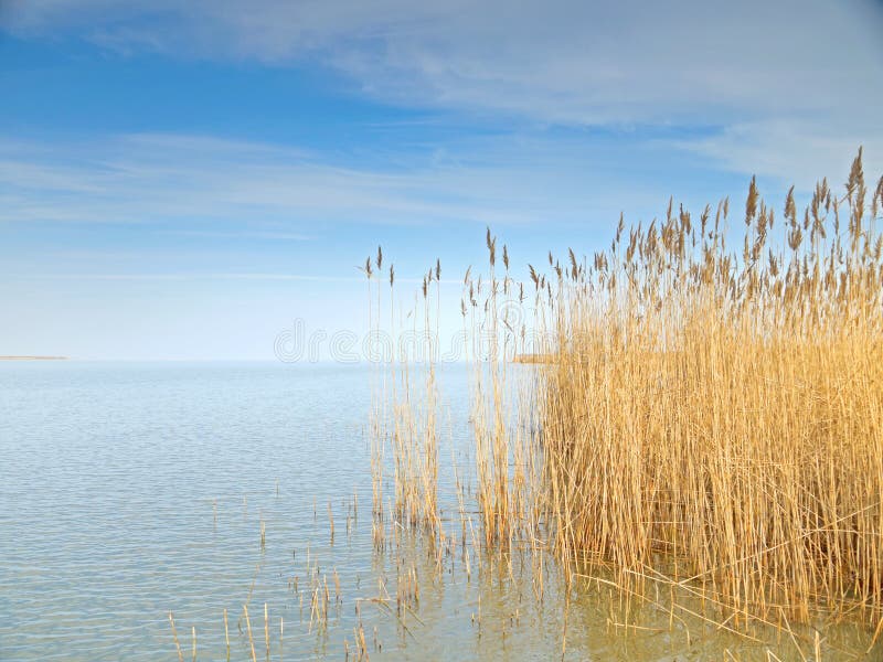Lago Neusiedl imagen de archivo. Imagen de lago, banco - 64410369