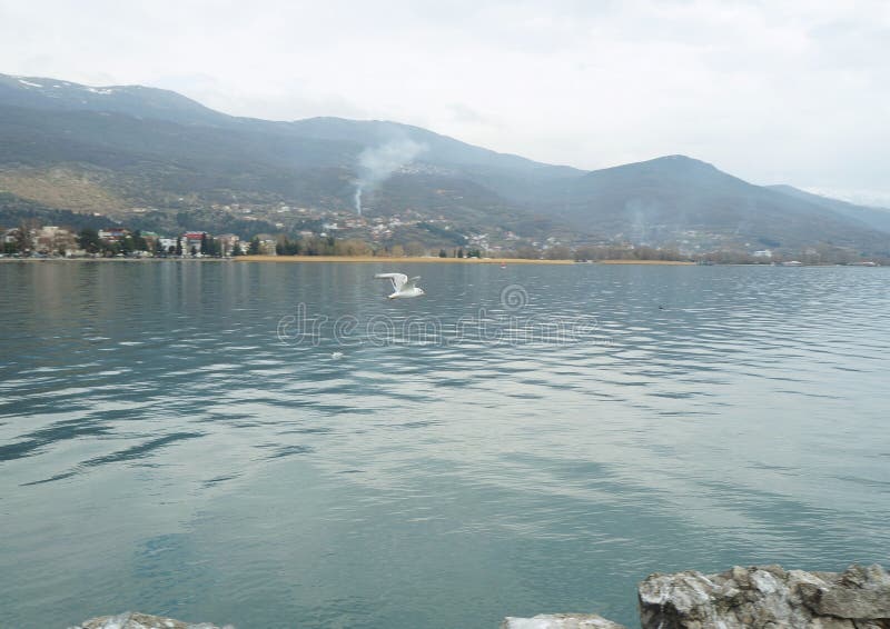 Lago Ohrid, Macedonia immagine stock. Immagine di macedonia - 97537445