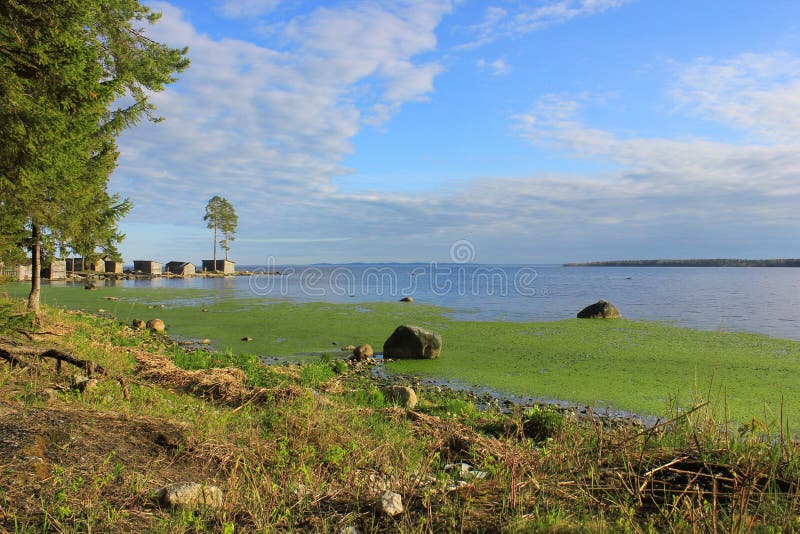 Lago Onega, Russia fotografia stock. Immagine di granai - 25039880