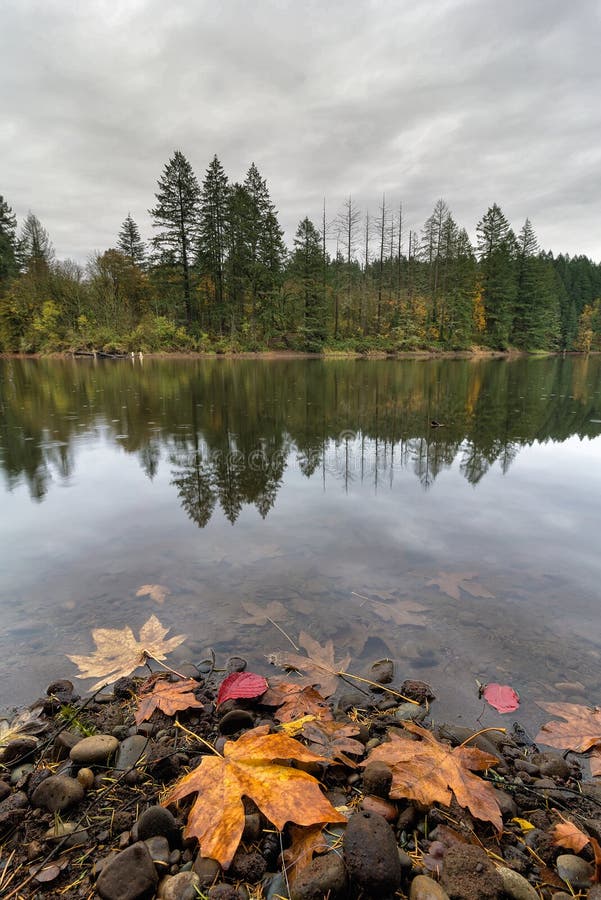 Parque do lago redondo imagem de stock. Image of verde - 194148745