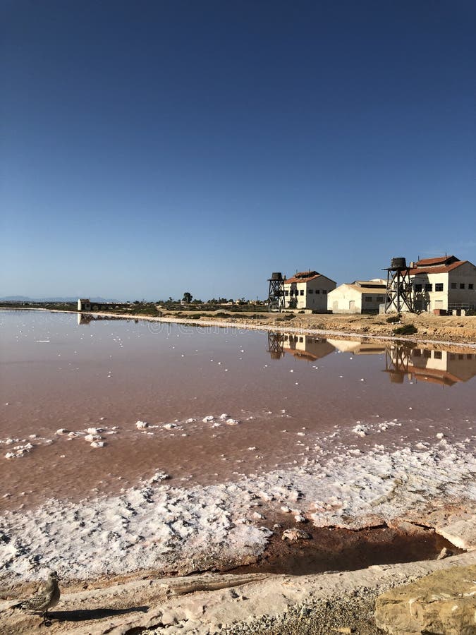 Lago Rosa De Torrevieja imagem de stock. Imagem de vistas - 159679047