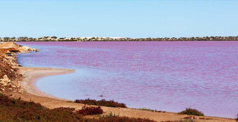 Lago Rosa Vicino a Porto Gregory Fotografia Stock - Immagine di ...