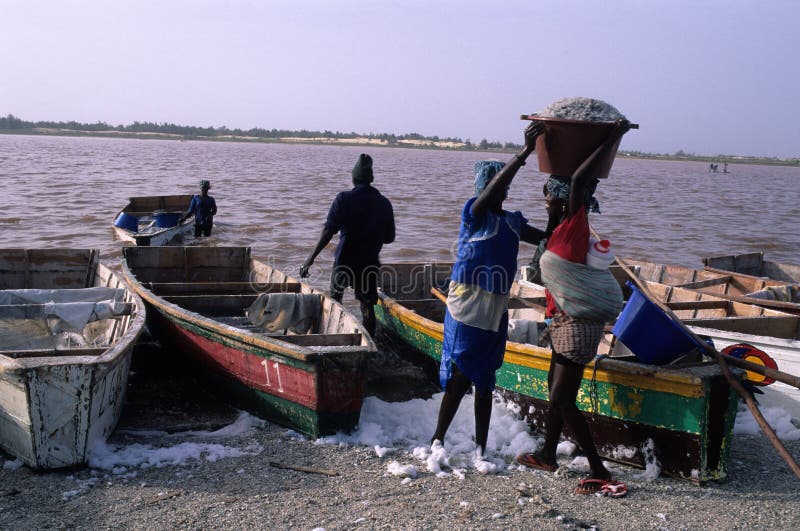 Lago Rose - Senegal fotografía editorial. Imagen de pista - 24196397